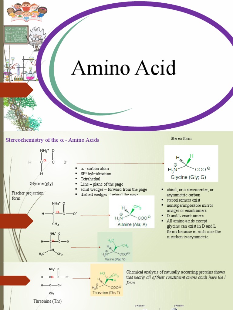 Amino Acid Modified | PDF | Amino Acid | Cysteine