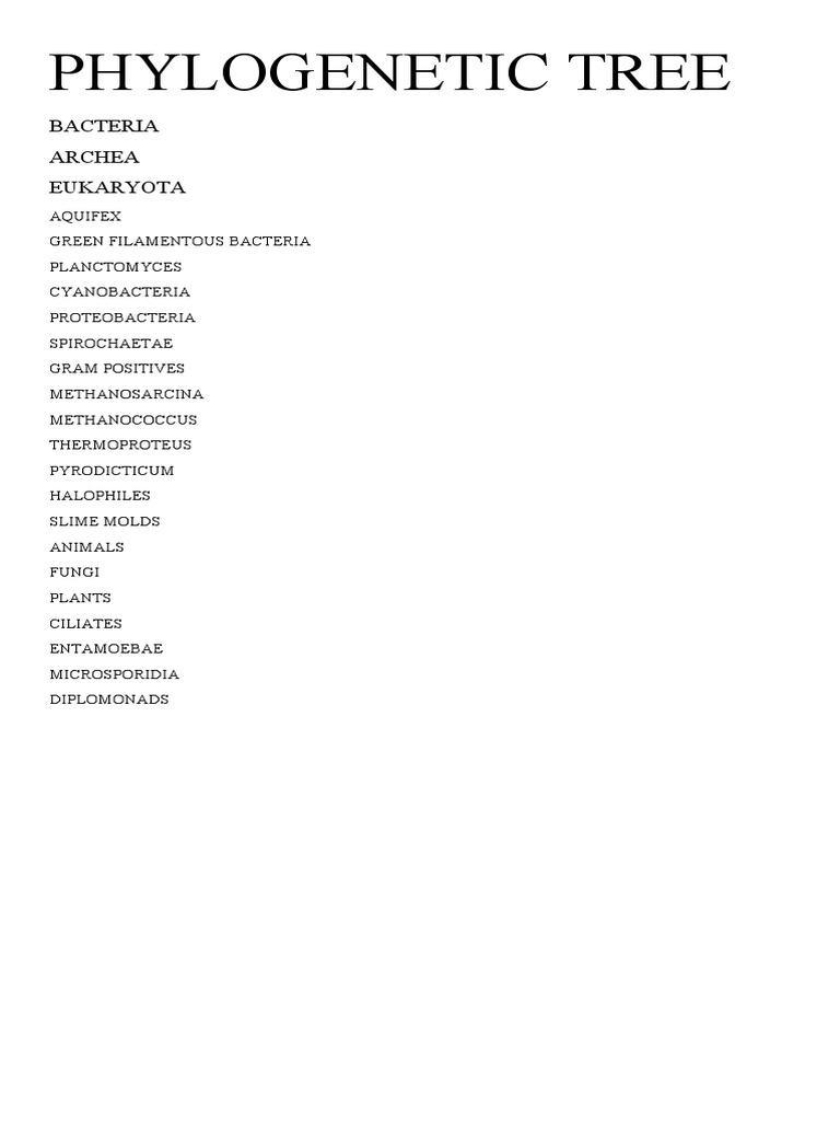 Phylogenetic Tree: Bacteria Archea Eukaryota | PDF