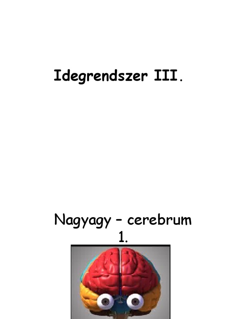 Idegrendszer III Nagyagy | PDF