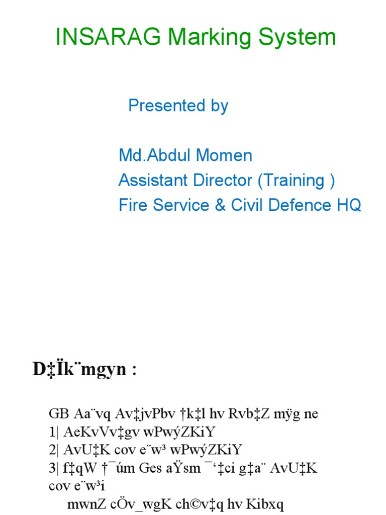 INSARAG Victim Marking System | PDF