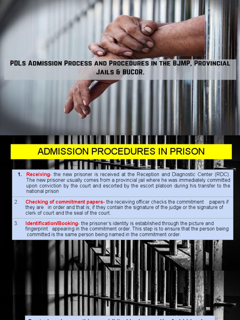 PDL Final | PDF | Prison | Crime & Violence