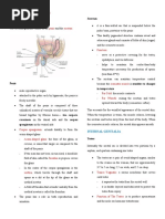 Male Anatomy - Side View - Labelled PDF | PDF
