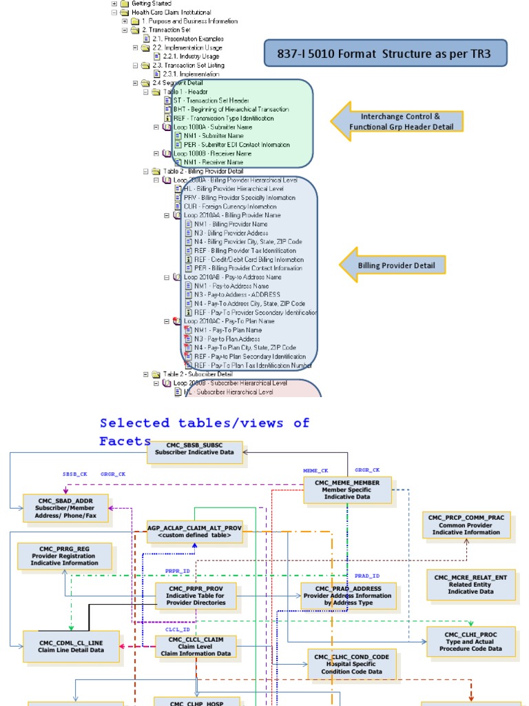 Facets Claims Processing Overview | PDF | Information | Hospital
