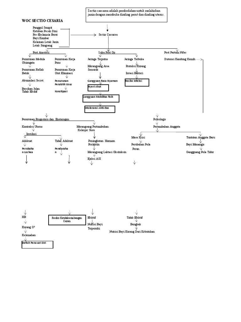 Woc Sectio Cesaria | PDF