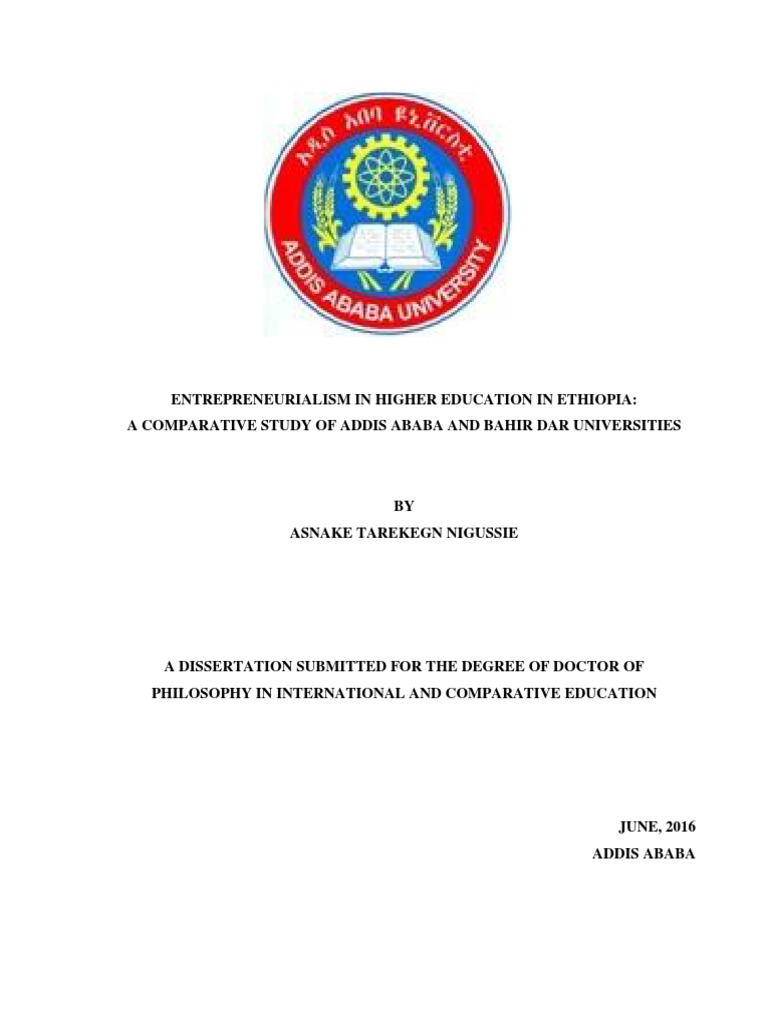Asnake Tarekegn | PDF | Entrepreneurship | Globalization