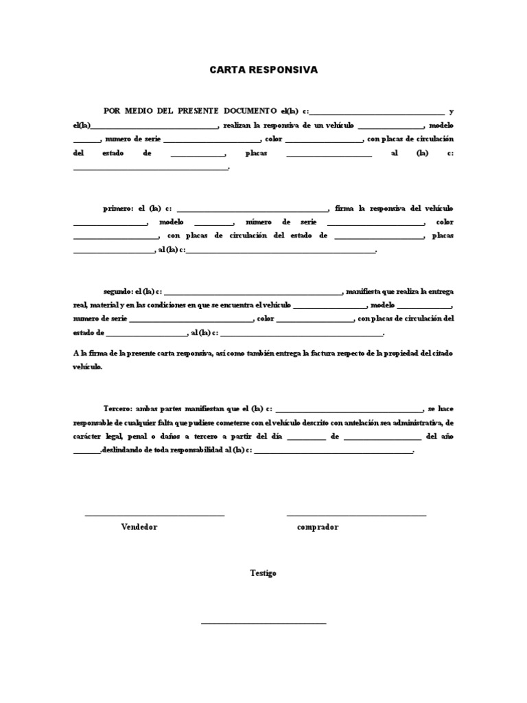 Formato Carta Responsiva | PDF