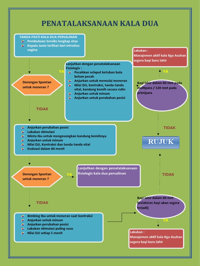 Penatalaksanaan Kala Dua Persalinan | PDF