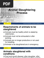 Week01 Pre-Slaughter Handling | PDF | Animal Slaughter | Slaughterhouse
