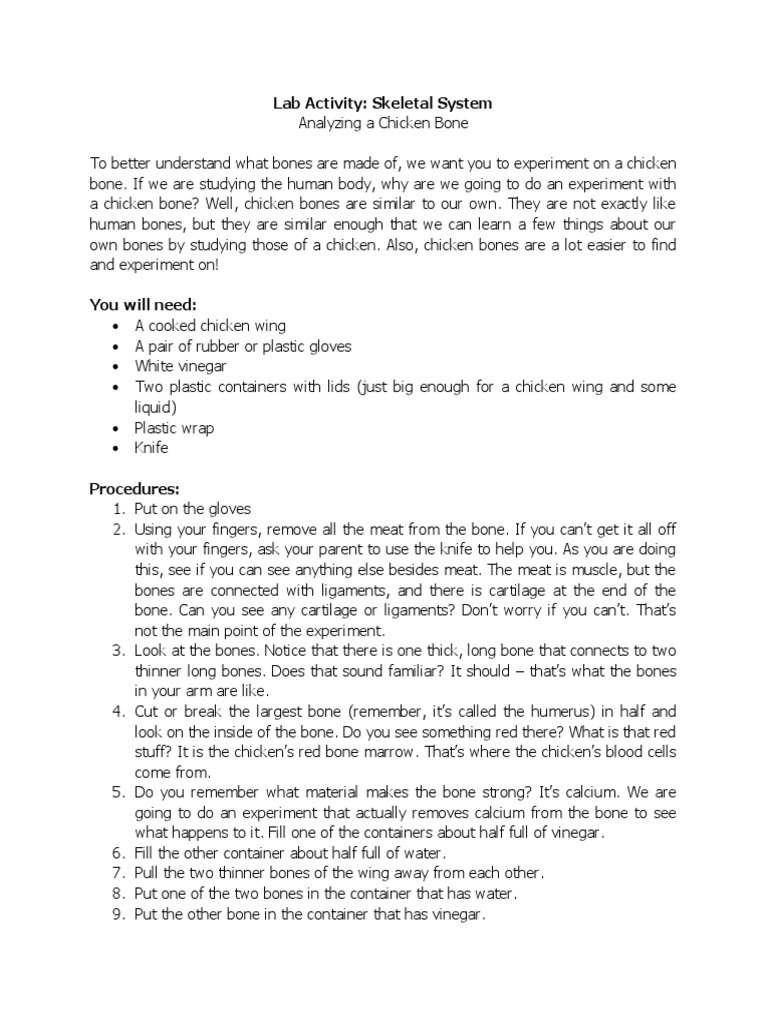Kids' Chicken Bone Experiment | PDF | Bone | Anatomy