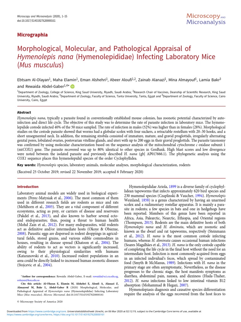 Morphological, Molecular, and Pathological Appraisal of Hymenolepis ...