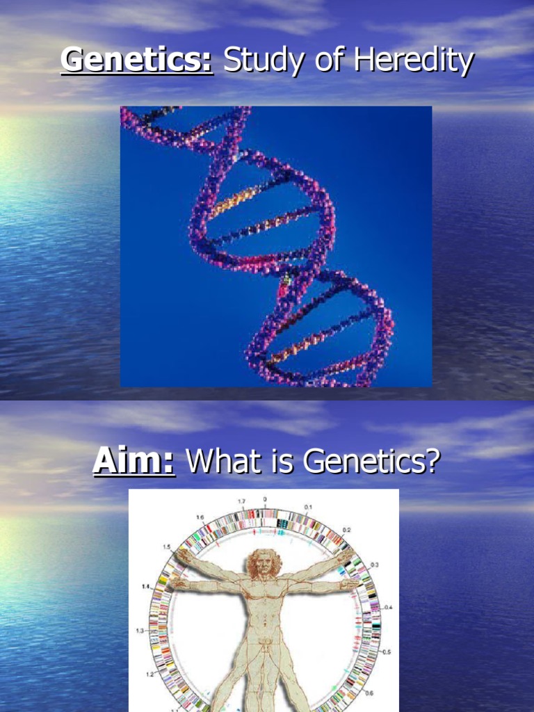 Basic Genetics | PDF | Genetics | Dna