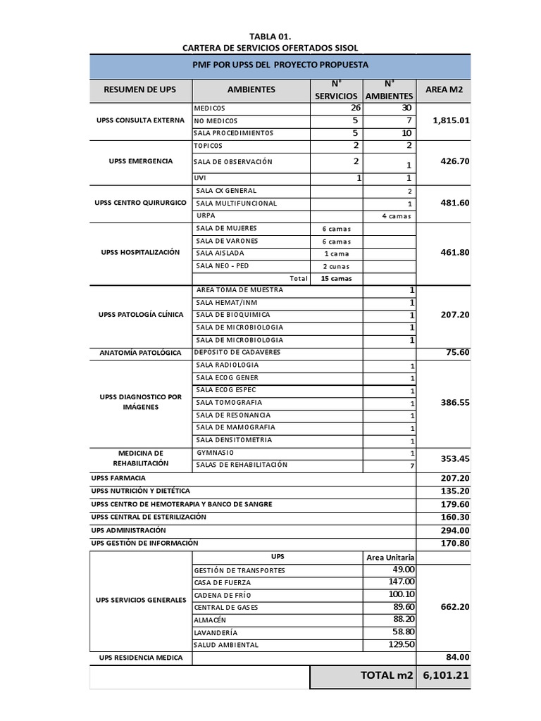 PMF y PMA - Informe N°001-2022 | PDF | Hospital | Cuidado de la salud