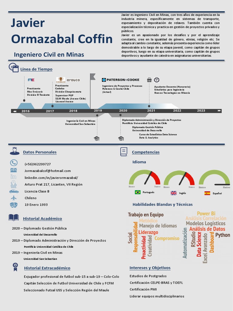 CV Javier Ormazabal Coffin | PDF | Minería