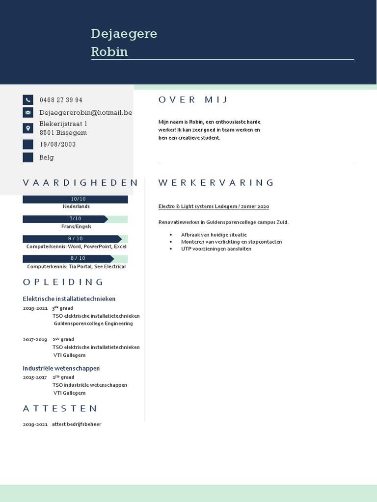 CV Dejaegere Robin | PDF