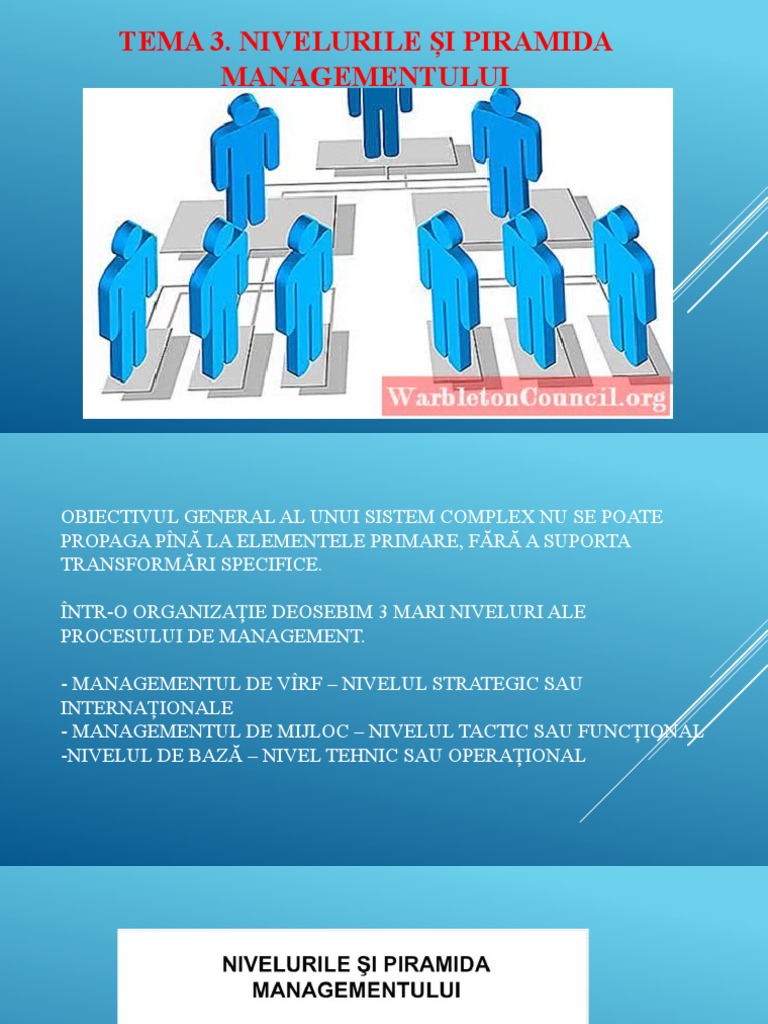 Nivelurile Si Piramida Managementului | PDF