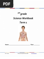 Grade 6 Science - Textbook Elevate Science Course 1 (SAVVAS) | PDF ...