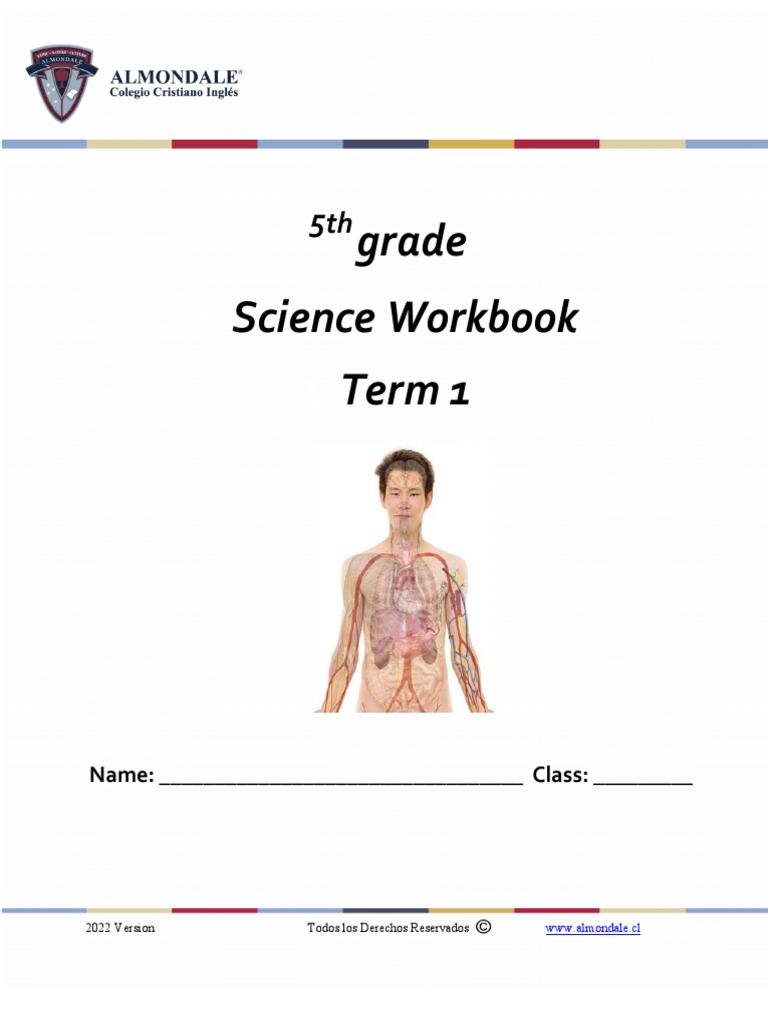 Grade Science Workbook Term 1: Name: - Class | PDF | Skeleton | Tissue ...