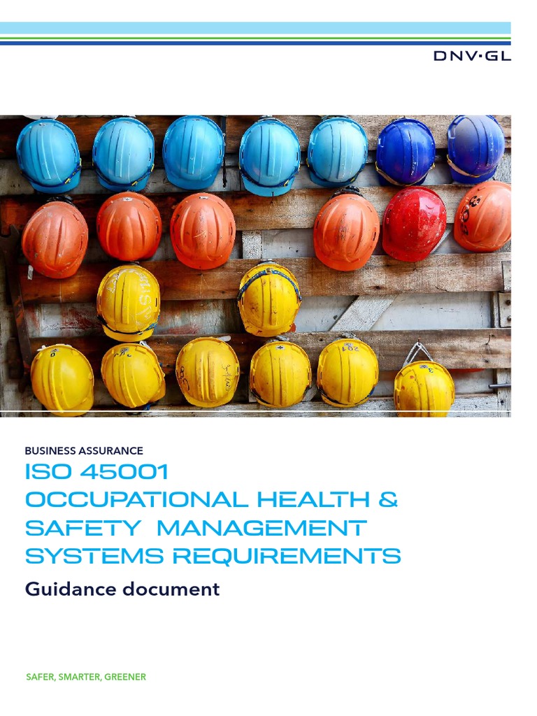 GuidanceDocument ISO45001 FINAL | PDF | Risk | Occupational Safety And ...