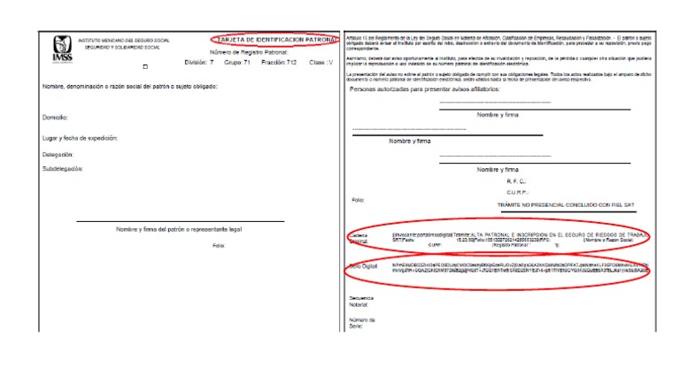 5 Ejemplo Tarjeta de Identificaci N Patronal IMSS | PDF