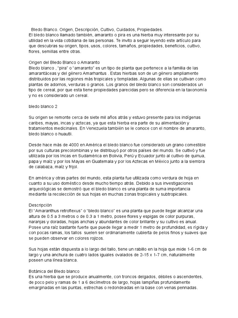 Bledo Blanco | PDF | Alimentos | Vegetales