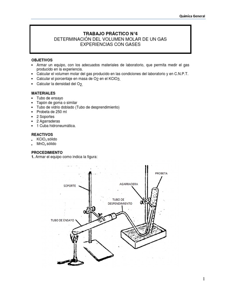 TP Nro.2 Gases Ideales | PDF | Mole (Unidad) | Gases