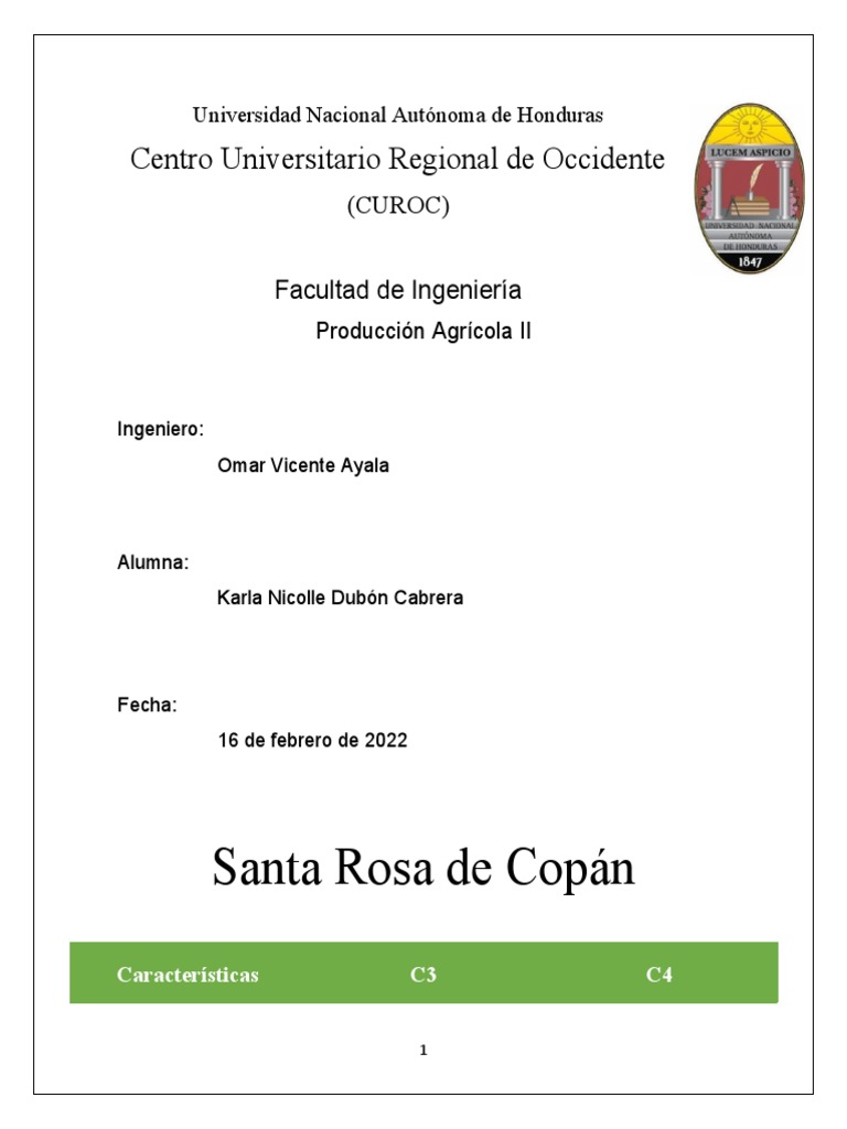 Cuadro Comparativo de C3 y C4 | PDF