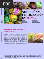 Folleto Florastart LQ | PDF | Flores | Botánica