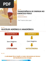 Resumo Periodizacao Teoria e Metodologia Do Treinamento Tudor Bompa G ...