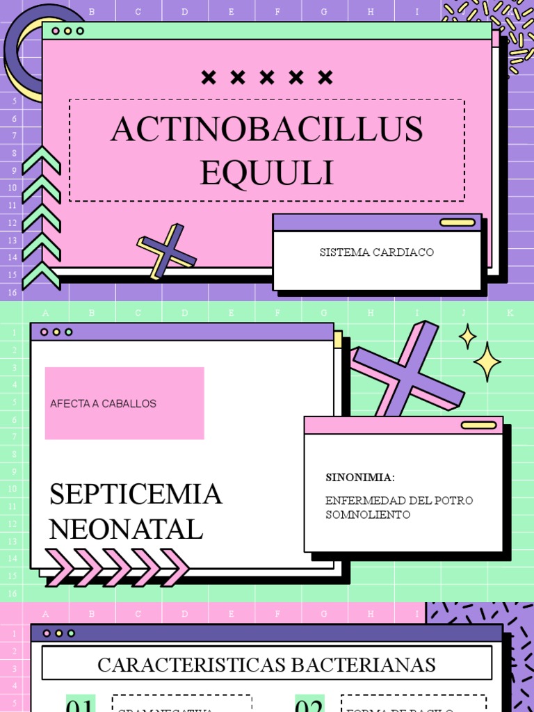 Actinobacillus Equuli | PDF | Enfermedades y trastornos | Medicina