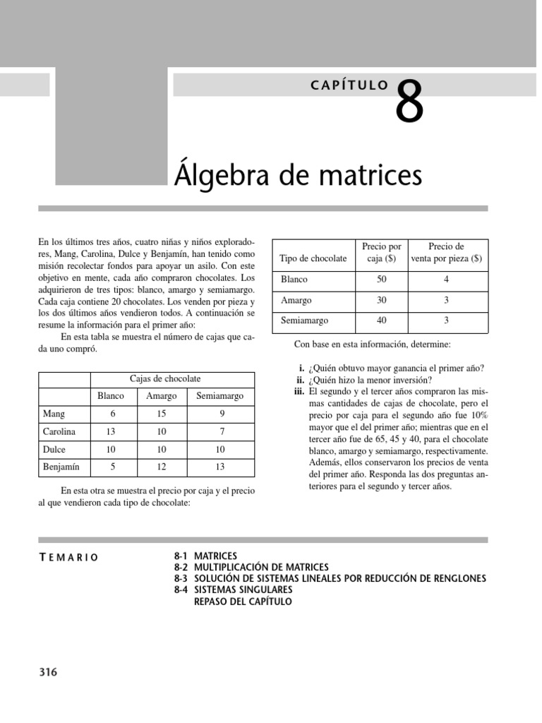 Matrices | PDF | Matriz (Matemáticas) | Física teórica