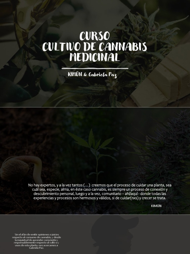 Curso Autocultivo Cannabis Medicinal Pdf Fertilizante Cannabis