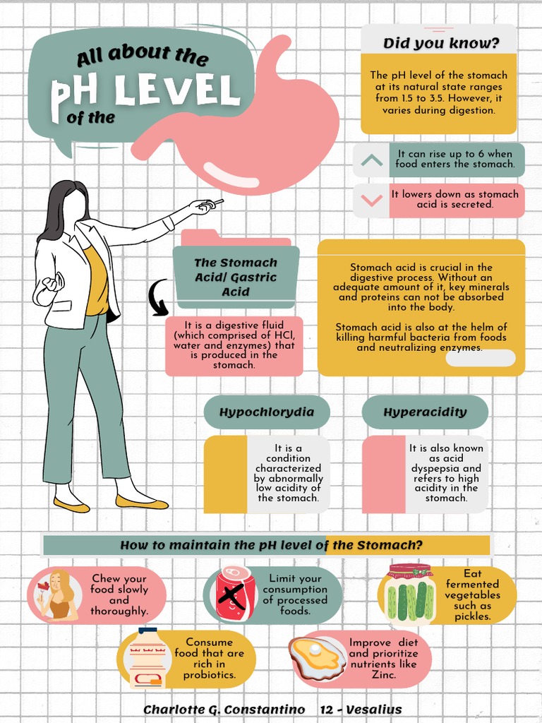 How To Maintain The PH Level of The Stomach | PDF