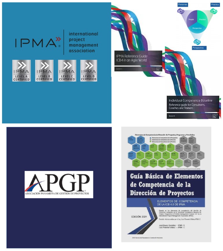 Infografía IPMA APGP Febrero 2021 | PDF