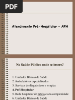 Manual APH 2024 | PDF