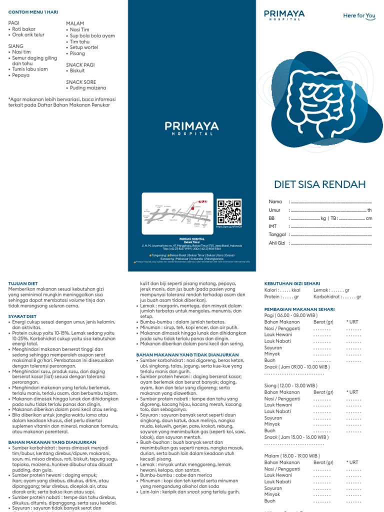 Diet Sisa Rendah | PDF