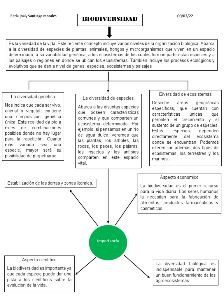 Cuadro Sinóptico Sobre La Biodiversidad | PDF | Biodiversidad | Ecosistema