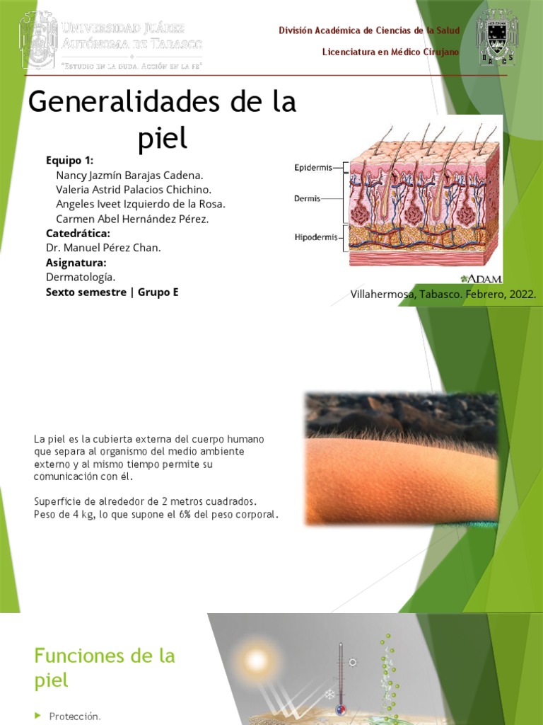 Generalidades de La Piel | PDF