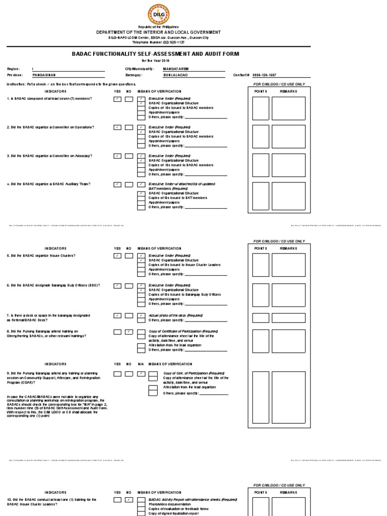BADAC Functionality Self-Assessment 2019 | PDF | Audit | Government