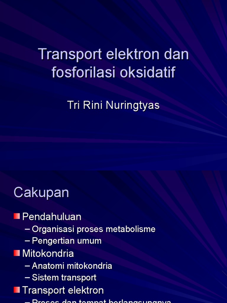 Transport elektron dan fosforilasi oksidatif: Proses pembentukan ATP ...