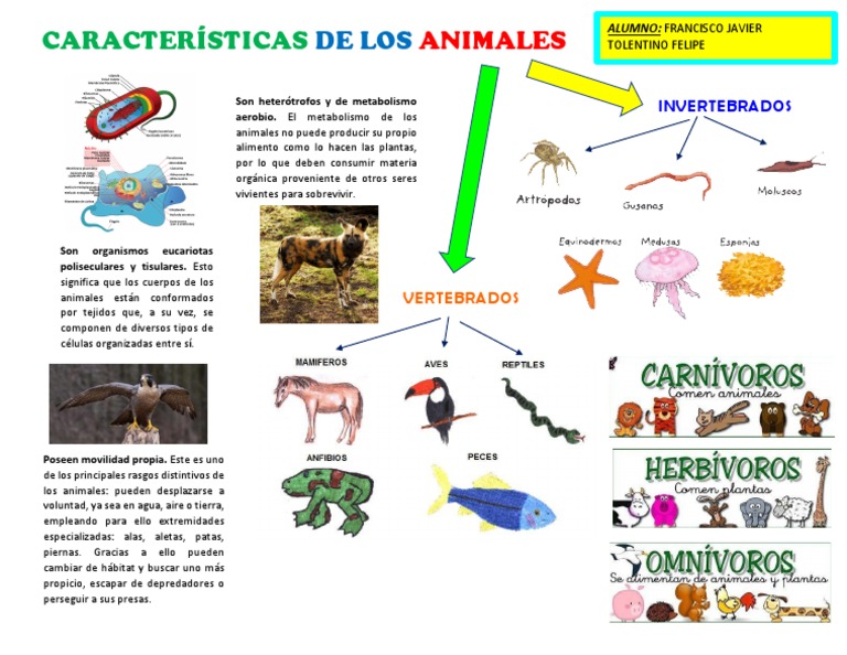 Características Clave de los Animales | PDF