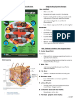 Severity Scoring of Atopic Dermatitis Index SCORAD PDF | PDF ...