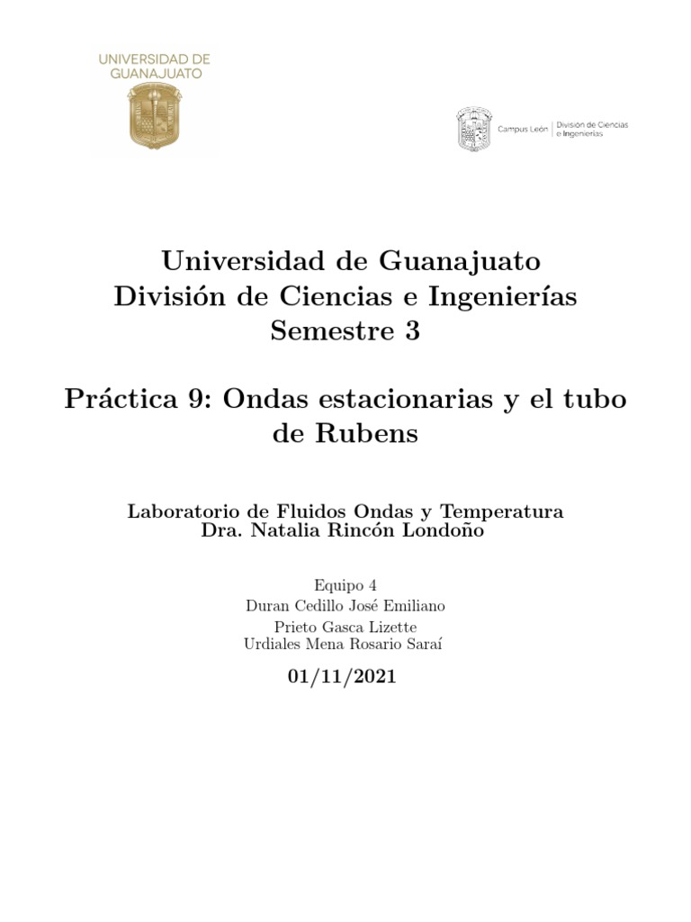 PR Ctica 9 Ondas Estacionarias y El Tubo de Rubens | PDF | Olas | Sonido