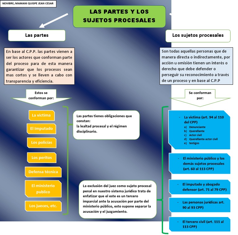 Las Partes y Los Sujetos Procesales | PDF | Ley procesal | Esfera pública