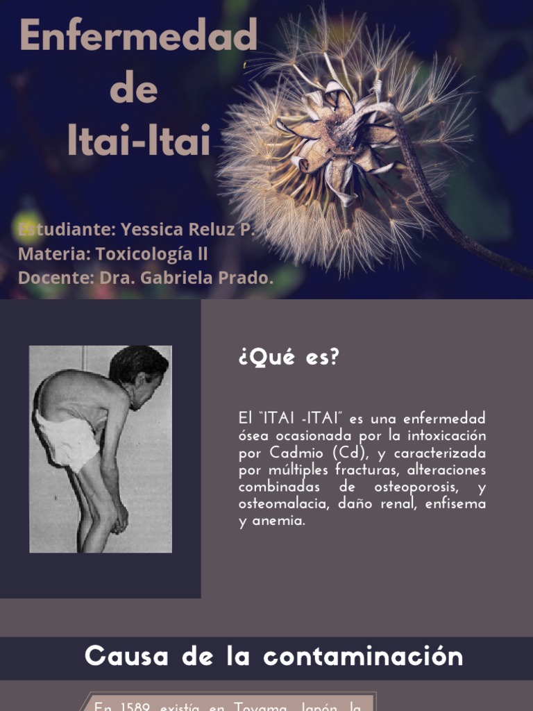 Enfermedad de Itai-Itai | PDF