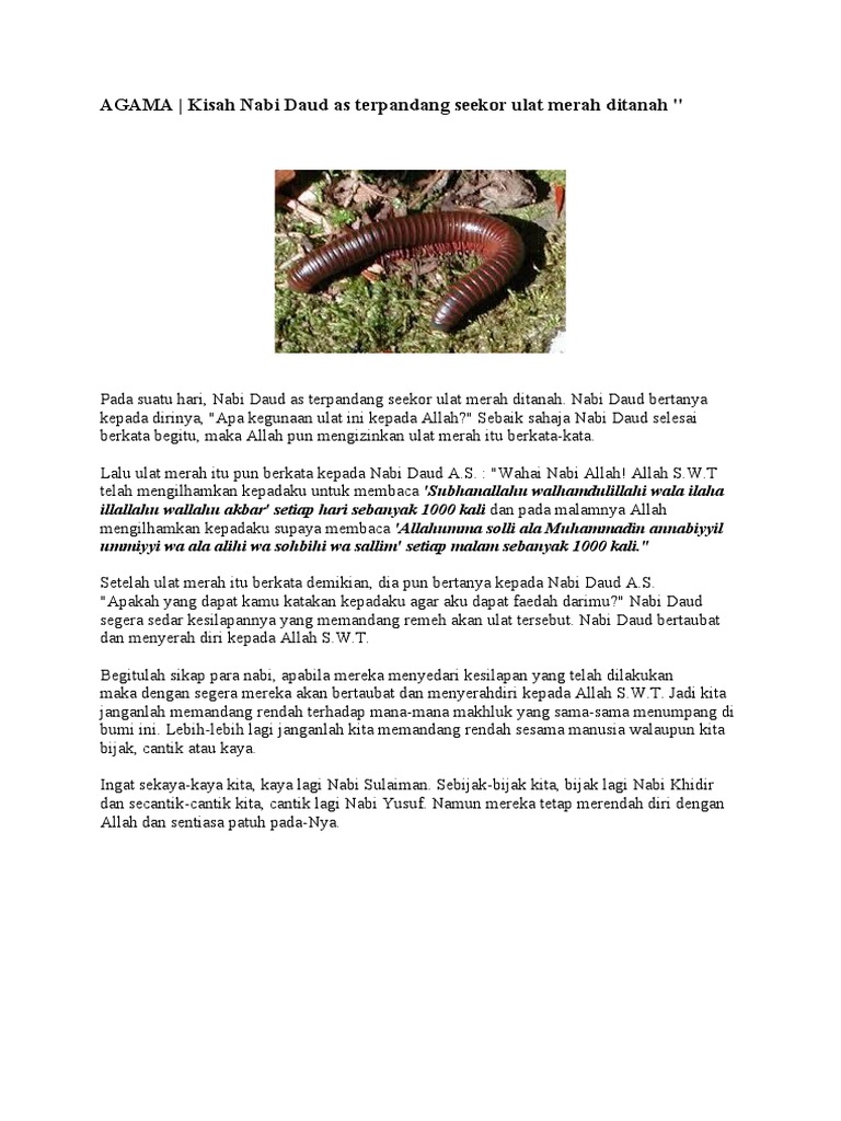 AGAMA-kisah Nabi Daud Dan Ulat Merah | PDF