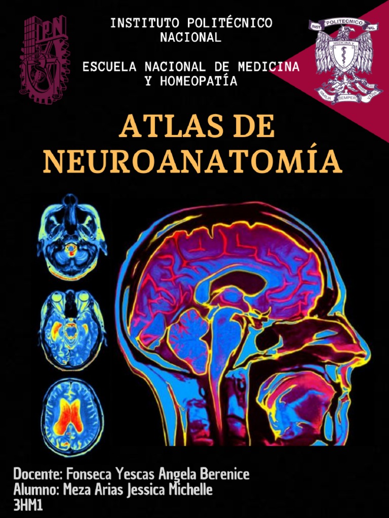Atlas de Neuroanatomía | PDF