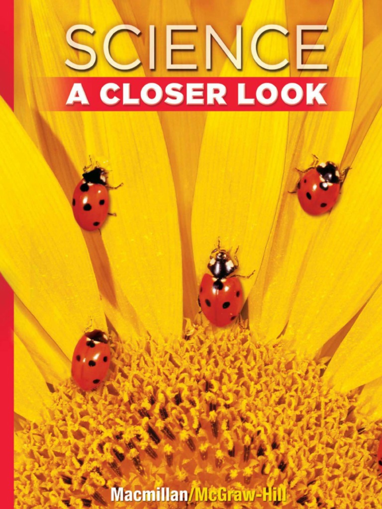 A Closer Look 1 | PDF