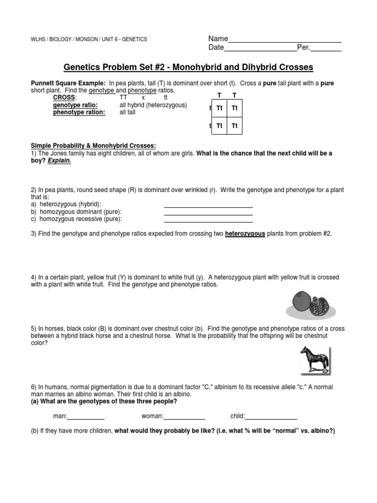 Monohybrid & Dihybrid Cross | PDF | Dominance (Genetics) | Genotype