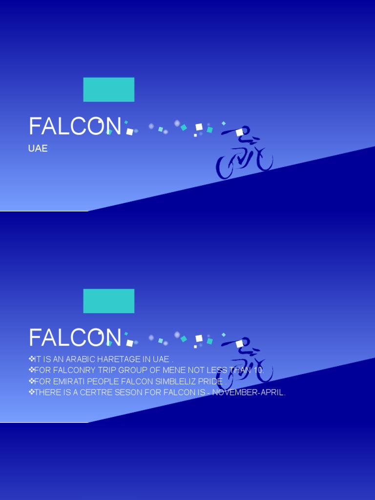 Falcon | PDF