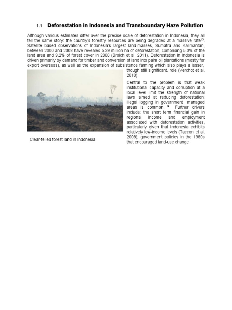 Indonesia Deforestation & Haze Impact | PDF | Deforestation | Indonesia